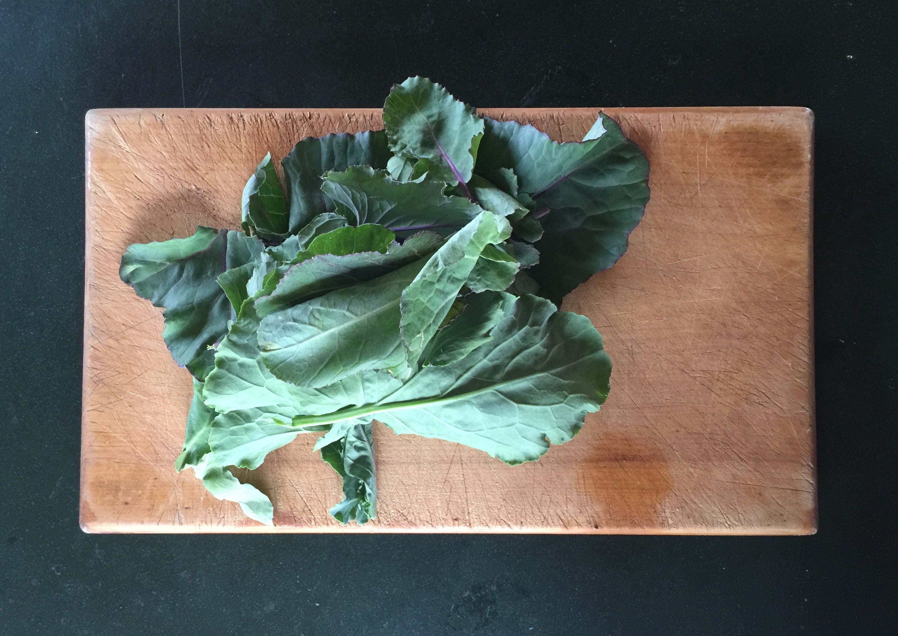 Wild foraging and a Sea Cabbage Salad | Culture Love